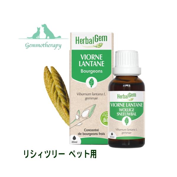 ジェモセラピーは、植物が発芽から新芽となって伸びていくときだけに合成される各種成長ホルモン、栄養素を凝縮したハーバルサプリメント。 伝統的な民間療法で人間に有益と認められているハーブ、その植物の新芽エネルギーが体内の気の流れを刺激して健康を...