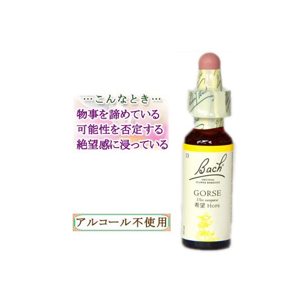 【ゴースのキーワード：可能性を否定する・内心諦めている・理由の無い絶望感】★正規販売店・バッチフラワーレメディーはいつでも飲める安心のノンアルコールタイプ★バッチフラワーレメディは、イギリスの細菌学者であったエドワードバッチ博士により発見さ...