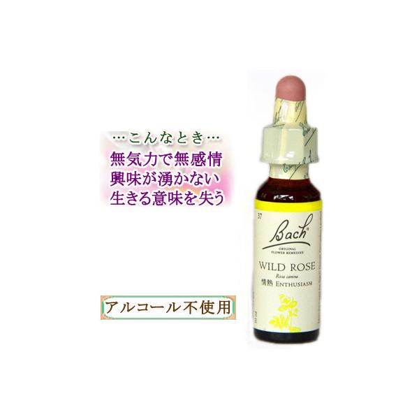【ワイルドローズのキーワード：無気力・無感情・無感動・全てを諦めて冷めた目で見てしまう】★正規販売店・バッチフラワーレメディーはいつでも飲める安心のノンアルコールタイプ★バッチフラワーレメディは、イギリスの細菌学者であったエドワードバッチ博...