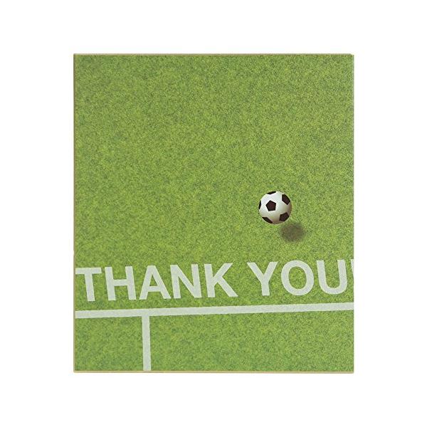 サッカー場/-/33167006・パッケージ個数:1・共に戦ったチームメイトやスポーツ好きのあの人へ。 筆記具は油性や不透明インクのものをおすすめします・閉じた状態 縦272mm×横242mm 開いた状態 縦272mm×458mm