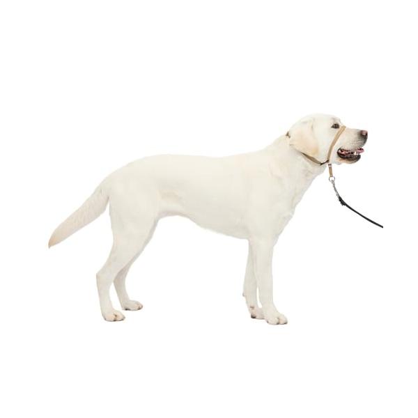 フォーン/L/GL-Q-HC-L-FWN・Color:フォーンSize:L・パッケージ個数:1・アメリカのメーカーPetSafe（ペットセーフ）による、マズルに装着するタイプの引っ張り防止グッズ。犬の本能に沿って、飼い主がリーダーだと認識で...