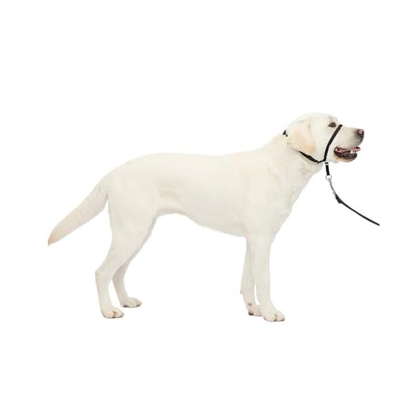 ブラック/L/GL-Q-HC-L-BLK・Color:ブラックSize:L・パッケージ個数:1・アメリカのメーカーPetSafe（ペットセーフ）による、マズルに装着するタイプの引っ張り防止グッズ。犬の本能に沿って、飼い主がリーダーだと認識で...