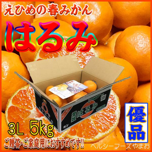 愛媛県・西宇和産【はるみ】優品の５キロ箱入りです。大きさは３Ｌサイズになります。【はるみ】は「清美タンゴール」と「ポンカン」との交配によって生まれた新品種です。この組合せは近年大人気のデコポン（不知火）と同じで、いわば「デコポン」の妹です。...