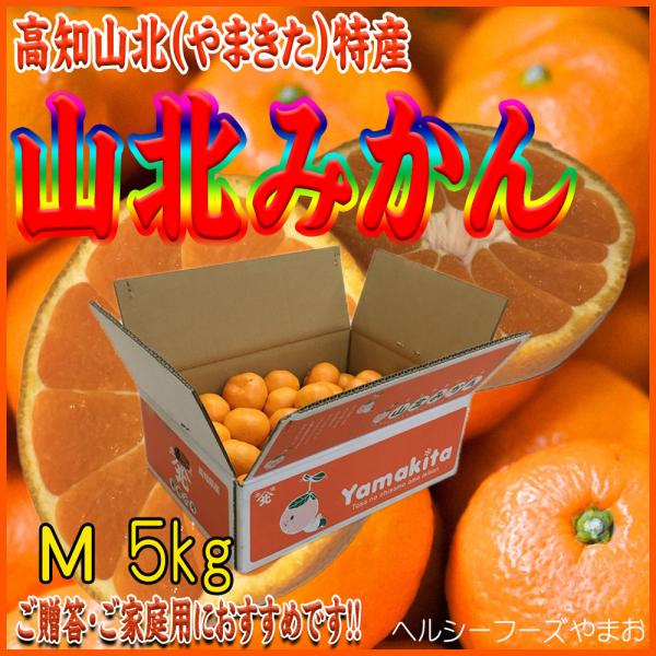 高知県山北（やまきた）特産★みかん★の５キロ箱入りです。大きさは【Ｍサイズ】です。最近、テレビでもその健康パワーが注目されている”みかん”を今一度食べてみては？ご家庭用・ご贈答用にいかがでしょうか？※生物ですので、なるべく早くお召しあがりく...