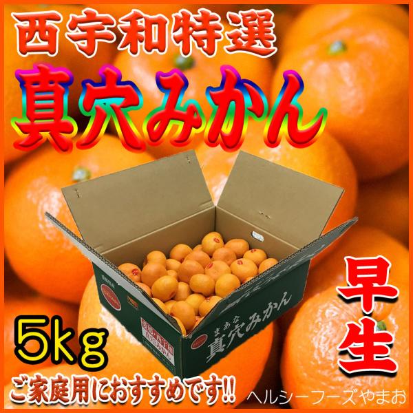 愛媛県・西宇和特選ブランド・真穴みかん＜早生＞の５キロ箱入りです。（中身の重さ）最近、テレビでもその健康パワーが注目されている”みかん”を今一度食べてみては？ご贈答・ご家庭用として最適です！！
