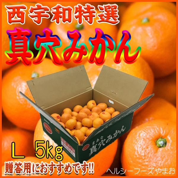 愛媛県・西宇和特選ブランド・真穴みかんの５キロ箱入りです。（中身の重さ）等級は【赤秀】大きさは【Ｌサイズ】になります。最近、テレビでもその健康パワーが注目されている”みかん”を今一度食べてみては？ご贈答品として最適です！！