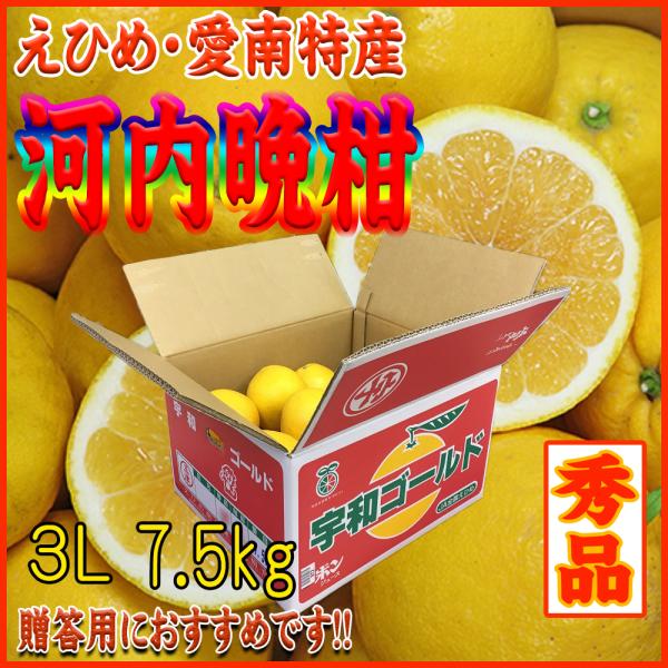 愛媛県産【河内晩柑】(美生柑・みしょうかん・ジューシーフルーツ)7.5キロ箱入りです。文旦の枝分かれにより生まれた品種です、風味と外観がグレープフルーツに似ていることから「和製グレープフルーツ」とも言われています。大きさは【３Ｌ】サイズにな...