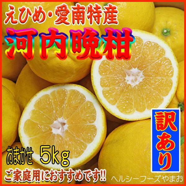 愛媛県産【河内晩柑】★訳あり★(美生柑・みしょうかん・ジューシーフルーツ)５キロ箱入りです。文旦の枝分かれにより生まれた品種です、風味と外観がグレープフルーツに似ていることから「和製グレープフルーツ」とも言われています。大きさは当店おまかせ...