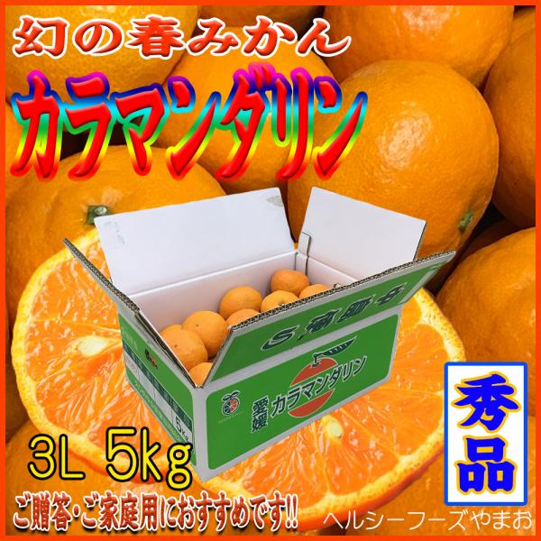 愛媛県産【カラマンダリン】５キロ箱入りです、大きさは【３Ｌ】サイズになります。カラマンダリンは温州ミカンとキングマンダリンの交配種になります。他の温州ミカンなどと比べ熟すのが遅く、４月頃に収穫し、酸を落ち着かせてから５月頃出荷する極晩生種の...