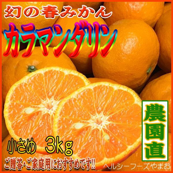 愛媛県産【カラマンダリン】３キロ箱入りです、サイズは小さめになります。カラマンダリンは温州ミカンとキングマンダリンの交配種になります。他の温州ミカンなどと比べ熟すのが遅く、４月頃に収穫し、酸を落ち着かせてから５月頃出荷する極晩生種のミカンで...