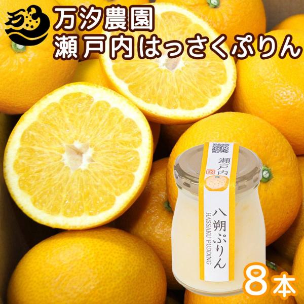 しまなみ海道の豊かな自然に育まれた地元の八朔を贅沢にまるごと使用。たっぷりの果肉と果皮をトッピングしたほろ苦い八朔の風味が新鮮な新食感ぷりんです。生産農家ならではのスローフードは、和やかな心をお届けします。広島県の主要駅周辺・道の駅各所、全...