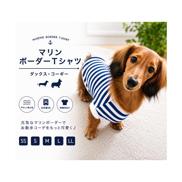 リニューアルして再登場！定番のマリンボーダーで買い足したくなる１着。薄手の素材ですので夏でも快適に着ることが出来ます。伸縮性も抜群です。抜け毛予防にもお勧めで肌触りにも考慮しております。ご家庭で洗濯できますが、ネットに入れての洗濯をおススメ...
