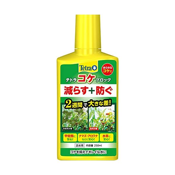 既に生えているコケの対策にも、これからのコケの予防にも、どちらも解決する水質調整剤です。緑ゴケ、藍藻、珪藻などの水槽のコケに効果があり、有効成分がコケの光合成を抑制し、生長や増殖を抑えます水草には影響を与えない範囲で濃度を調整しています銅な...