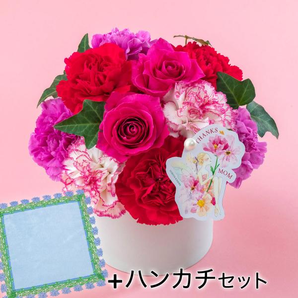 ■お届け2026/5/7 から 2026/5/10まででご指定ください※お届け日指定締切 2026/4/30 以降は指定不可■注文締切2026/04/30　14:00まで母の日は「ありがとう」を伝える日。カーネーションの花言葉は「感謝」。赤...