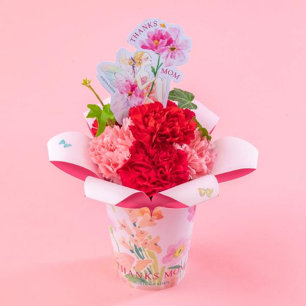 ■お届け2026/5/7 から 2026/5/10まででご指定ください※お届け日指定締切 2026/4/30 以降は指定不可■注文締切2026/05/07　14:00まで母の日は「ありがとう」を伝える日。赤いカーネーションの花言葉は「深い愛...