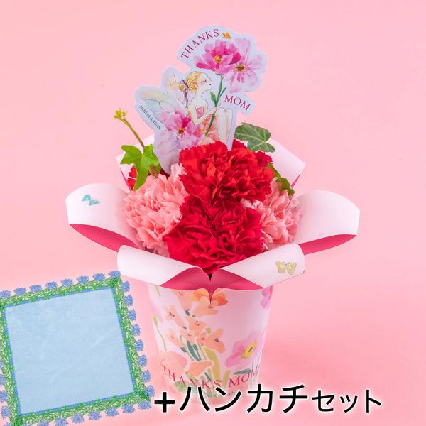 ■お届け2026/5/7 から 2026/5/10まででご指定ください※お届け日指定締切 2026/4/30 以降は指定不可■注文締切2026/04/30　14:00まで母の日は「ありがとう」を伝える日。赤いカーネーションの花言葉は「深い愛...