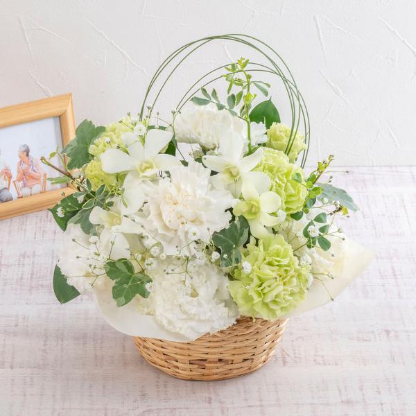 ■お届け2026/4/1 から 2026/5/31まで 3日後以降でご指定可■注文締切2026/05/28　14:00まで季節の移ろいと共に、大切な想い出を彩る。上品で落ち着きのある春限定のお供え花です。白と淡いグリーンを基調に、デンファレ...