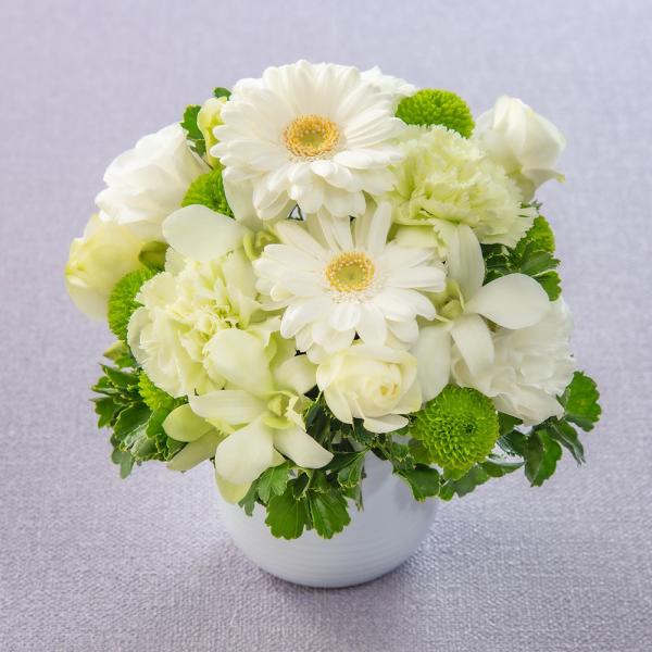 ■お届け 3日後以降でご指定可■注文締切2026/12/26　14:00まで清らかな白いリシアンサスを中心に、若草色のマムなどの花々を集めたアレンジメントです。柔らかに取り囲む平衡の線が美しい花器は、見る方の心が安らかになることを祈ってデザ...