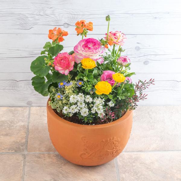 ■お届け2026/1/9 から 2026/3/31まで 5日後以降でご指定可■注文締切2026/03/26　14:00まで春を感じさせる季節のお花でボリューム感のある寄せ植えを作りました。5種類の色とりどりのお花が春の装いを演出してくれます。