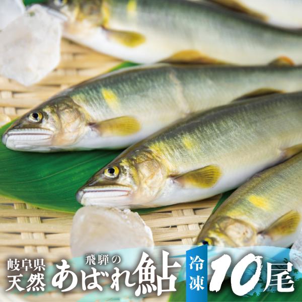 【商品】岐阜県 天然鮎 飛騨のあばれ鮎 〜鮎釣り界のレジェンド 室田正名人が惚れ込んだ鮎〜 あゆ アユ 鮎【商品内容】サイズ 16センチ以上10尾【発送状態】冷凍 2025年夏に釣れた鮎です。最適の状態で〆た鮎を真空パック、急速冷凍しております。