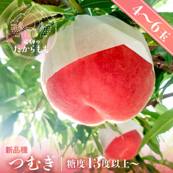 【商品】飛騨のたから桃 つむぎ【商品内容】桃 糖度13度 以上 4-6玉品種：つむぎお届け時期：8月中旬ごろ【商品説明】標高500m、四方を北アルプスに囲まれた農園は夏でも朝晩の寒暖差が激しく、桃を育てるのに適した土地です。飛騨地域の中でも...