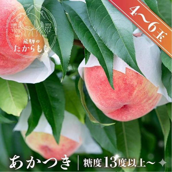 【商品】飛騨のたから桃 あかつき【商品内容】桃 糖度13度 以上 4-6玉品種：あかつきお届け時期：8月上旬ごろ【商品説明】標高500m、四方を北アルプスに囲まれた農園は夏でも朝晩の寒暖差が激しく、桃を育てるのに適した土地です。飛騨地域の中...