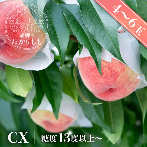 【商品】飛騨のたから桃 CX(シーエックス)【商品内容】桃 糖度13度 以上 4-6玉品種：CXお届け時期：9月下旬ごろ【商品説明】標高500m、四方を北アルプスに囲まれた農園は夏でも朝晩の寒暖差が激しく、桃を育てるのに適した土地です。飛騨...