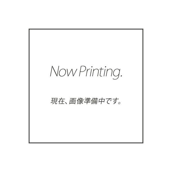 ニルフィスク業務用ドライバキュームクリーナーGD930 PRO S2・GD5BACK用の交換部品です。