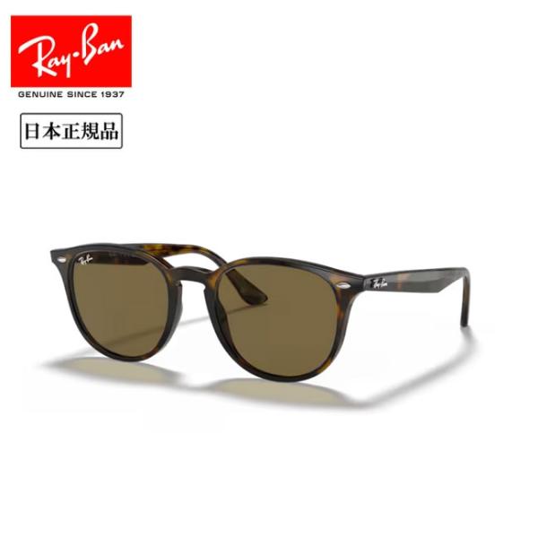 Ray-Ban レイバン RB4259F 710/73 53 【 日本正規品 サングラス ローブリッジフィット アウトドア 】