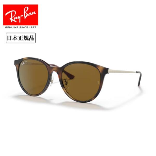 Ray-Ban レイバン RB4334D 710/83 55 【 日本正規品 サングラス ローブリッジフィット 偏光 ポラライズド アウトドア 】