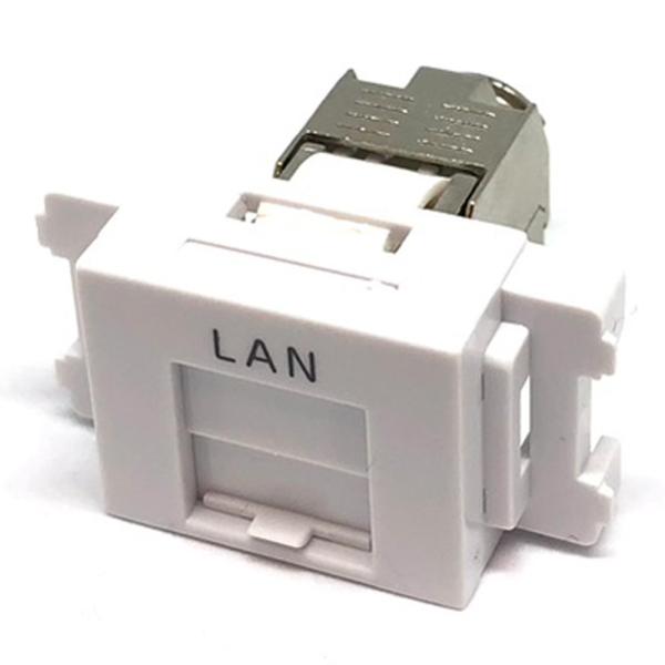【発売日：2024年11月20日】注意：フェイスプレート印字を【LAN】、【LAN Cat 6A】から選択可【自力志向】本商品はプロ用になります。使用方法がわからない方は購入しないでくださいカテゴリ6A(CAT6A)に対応したキーストンジャ...