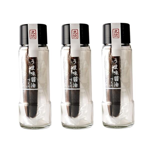 【商品説明】ご家庭で普段お使いの醤油を瓶に入れていただくだけで、簡単に我が家オリジナルのだし醤油ができるセット。 たまごかけご飯や天つゆ、うどんなど、いつも通りにご使用いただくと料理の旨味が倍増します。 醤油瓶に入れやすい大きさの宗田節、昆...