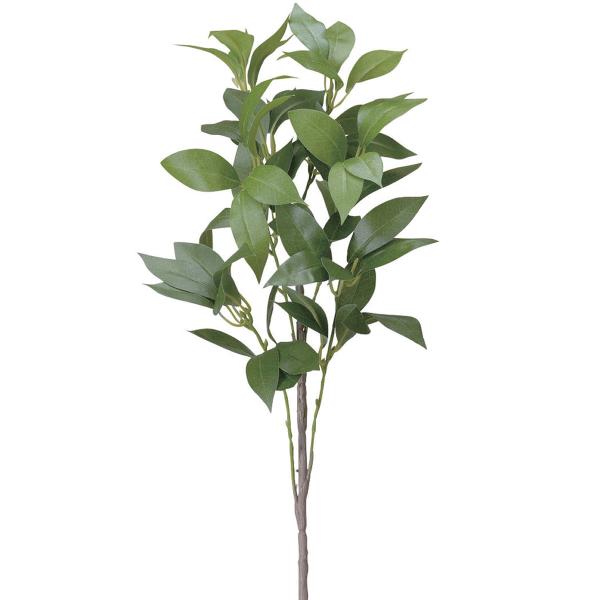 信頼の光触媒造花・人工観葉植物のブランド「光の楽園」消臭・抗菌効果のある、光触媒「V-CAT」を使用し、お部屋のインテリアや各種お祝いのギフト（プレゼント）として、新築祝い・開店祝い・開業祝い・開院祝い・引越し祝い・母の日・敬老の日・誕生日...