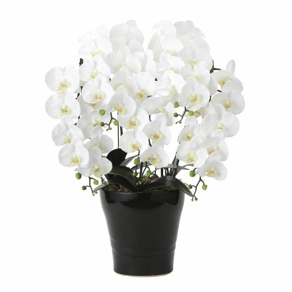 信頼の光触媒造花・人工観葉植物のブランド「光の楽園」消臭・抗菌効果のある、光触媒「V-CAT」を使用し、お部屋のインテリアや各種お祝いのギフト（プレゼント）として、新築祝い・開店祝い・開業祝い・開院祝い・引越し祝い・母の日・敬老の日・誕生日...