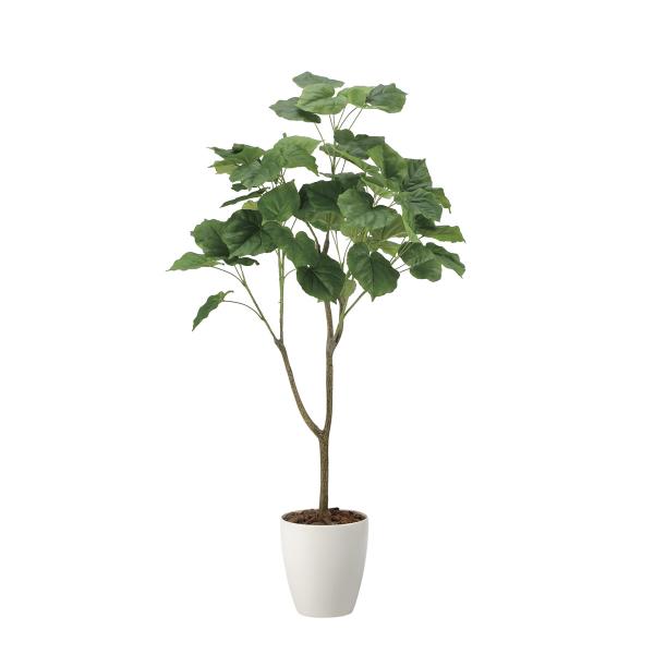 信頼の光触媒造花・人工観葉植物のブランド「光の楽園」消臭・抗菌効果のある、光触媒「V-CAT」を使用し、お部屋のインテリアや各種お祝いのギフト（プレゼント）として、新築祝い・開店祝い・開業祝い・開院祝い・引越し祝い・母の日・敬老の日・誕生日...