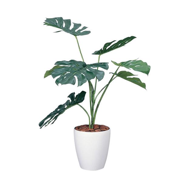 信頼の光触媒造花・人工観葉植物のブランド「光の楽園」消臭・抗菌効果のある、光触媒「V-CAT」を使用し、お部屋のインテリアや各種お祝いのギフト（プレゼント）として、新築祝い・開店祝い・開業祝い・開院祝い・引越し祝い・母の日・敬老の日・誕生日...