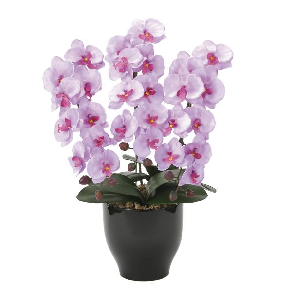 信頼の光触媒造花・人工観葉植物のブランド「光の楽園」消臭・抗菌効果のある、光触媒「V-CAT」を使用し、お部屋のインテリアや各種お祝いのギフト（プレゼント）として、新築祝い・開店祝い・開業祝い・開院祝い・引越し祝い・母の日・敬老の日・誕生日...