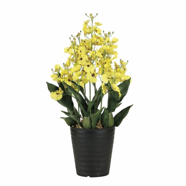 信頼の光触媒造花・人工観葉植物のブランド「光の楽園」消臭・抗菌効果のある、光触媒「V-CAT」を使用し、お部屋のインテリアや各種お祝いのギフト（プレゼント）として、新築祝い・開店祝い・開業祝い・開院祝い・引越し祝い・母の日・敬老の日・誕生日...