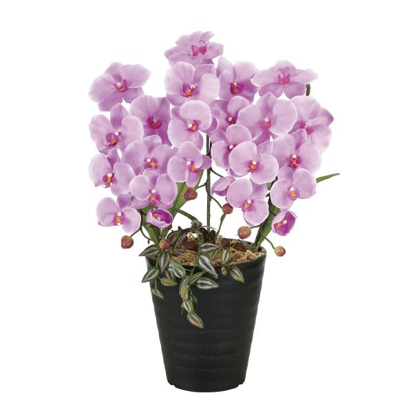 信頼の光触媒造花・人工観葉植物のブランド「光の楽園」消臭・抗菌効果のある、光触媒「V-CAT」を使用し、お部屋のインテリアや各種お祝いのギフト（プレゼント）として、新築祝い・開店祝い・開業祝い・開院祝い・引越し祝い・母の日・敬老の日・誕生日...