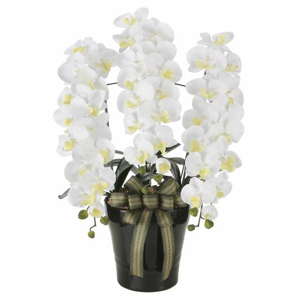 信頼の光触媒造花・人工観葉植物のブランド「光の楽園」消臭・抗菌効果のある、光触媒「V-CAT」を使用し、お部屋のインテリアや各種お祝いのギフト（プレゼント）として、新築祝い・開店祝い・開業祝い・開院祝い・引越し祝い・母の日・敬老の日・誕生日...