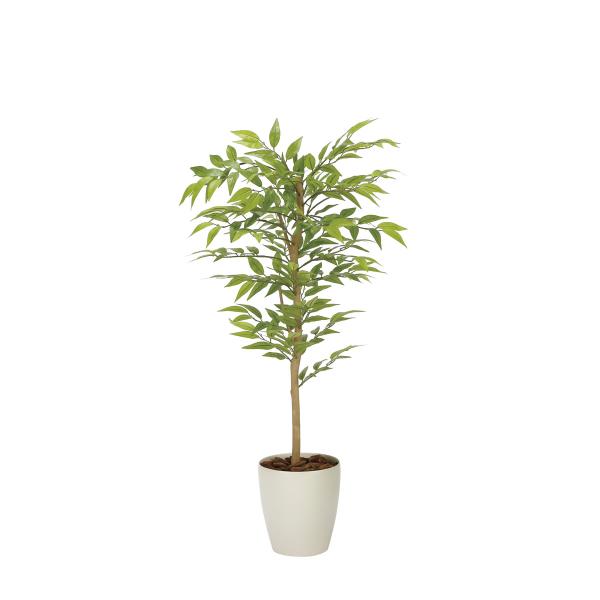 信頼の光触媒造花・人工観葉植物のブランド「光の楽園」消臭・抗菌効果のある、光触媒「V-CAT」を使用し、お部屋のインテリアや各種お祝いのギフト（プレゼント）として、新築祝い・開店祝い・開業祝い・開院祝い・引越し祝い・母の日・敬老の日・誕生日...