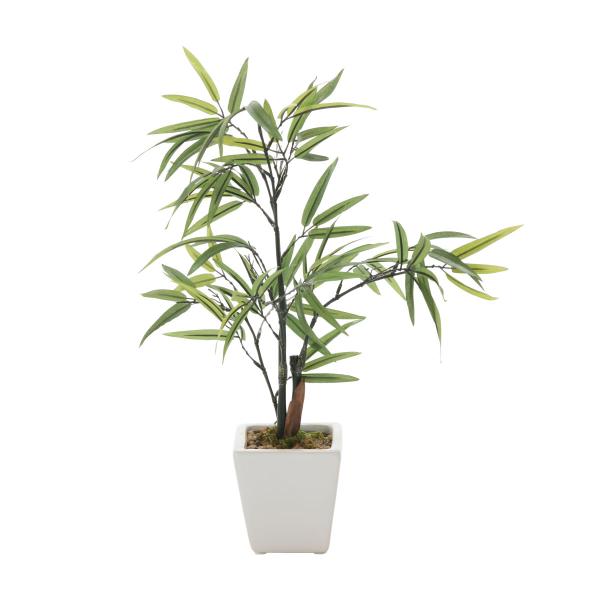 信頼の光触媒造花・人工観葉植物のブランド「光の楽園」消臭・抗菌効果のある、光触媒「V-CAT」を使用し、お部屋のインテリアや各種お祝いのギフト（プレゼント）として、新築祝い・開店祝い・開業祝い・開院祝い・引越し祝い・母の日・敬老の日・誕生日...