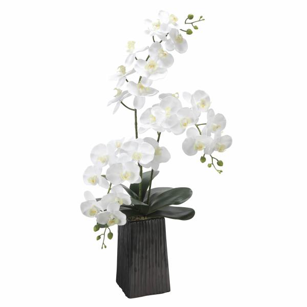 信頼の光触媒造花・人工観葉植物のブランド「光の楽園」消臭・抗菌効果のある、光触媒「V-CAT」を使用し、お部屋のインテリアや各種お祝いのギフト（プレゼント）として、新築祝い・開店祝い・開業祝い・開院祝い・引越し祝い・母の日・敬老の日・誕生日...