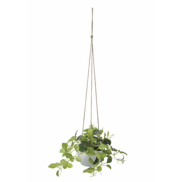 信頼の光触媒造花・人工観葉植物のブランド「光の楽園」消臭・抗菌効果のある、光触媒「V-CAT」を使用し、お部屋のインテリアや各種お祝いのギフト（プレゼント）として、新築祝い・開店祝い・開業祝い・開院祝い・引越し祝い・母の日・敬老の日・誕生日...