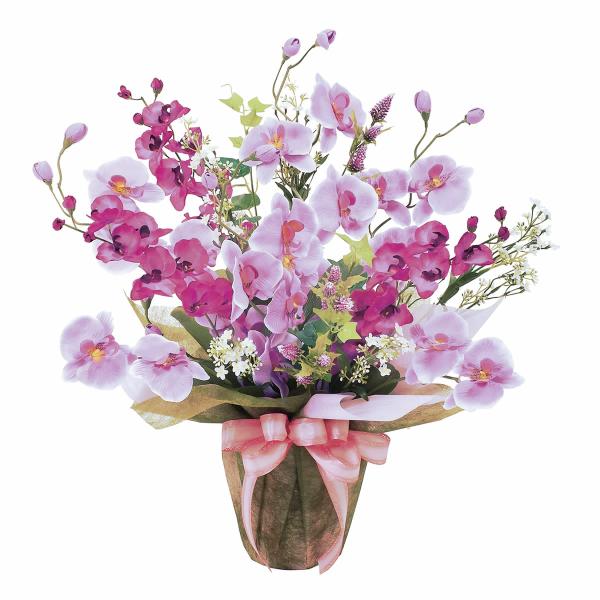 信頼の光触媒造花・人工観葉植物のブランド「光の楽園」消臭・抗菌効果のある、光触媒「V-CAT」を使用し、お部屋のインテリアや各種お祝いのギフト（プレゼント）として、新築祝い・開店祝い・開業祝い・開院祝い・引越し祝い・母の日・敬老の日・誕生日...