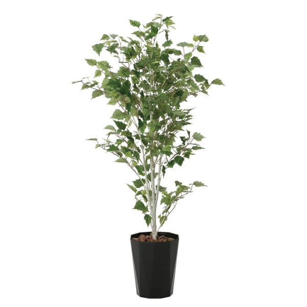 信頼の光触媒造花・人工観葉植物のブランド「光の楽園」消臭・抗菌効果のある、光触媒「V-CAT」を使用し、お部屋のインテリアや各種お祝いのギフト（プレゼント）として、新築祝い・開店祝い・開業祝い・開院祝い・引越し祝い・母の日・敬老の日・誕生日...