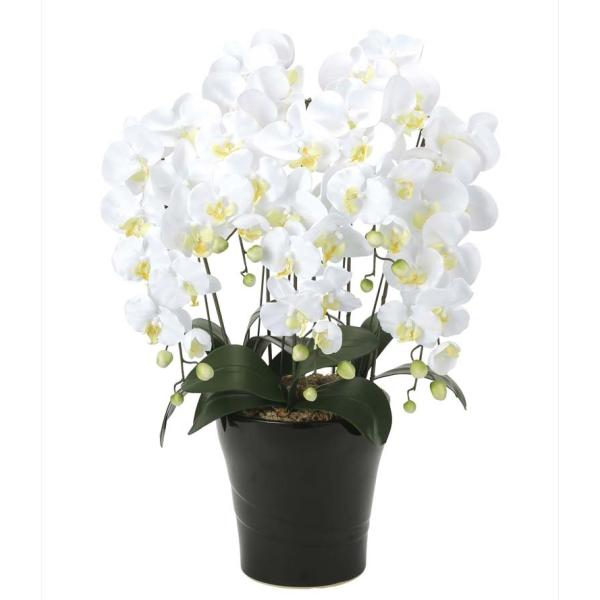 信頼の光触媒造花・人工観葉植物のブランド「光の楽園」消臭・抗菌効果のある、光触媒「V-CAT」を使用し、お部屋のインテリアや各種お祝いのギフト（プレゼント）として、新築祝い・開店祝い・開業祝い・開院祝い・引越し祝い・母の日・敬老の日・誕生日...