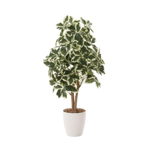 信頼の光触媒造花・人工観葉植物のブランド「光の楽園」消臭・抗菌効果のある、光触媒「V-CAT」を使用し、お部屋のインテリアや各種お祝いのギフト（プレゼント）として、新築祝い・開店祝い・開業祝い・開院祝い・引越し祝い・母の日・敬老の日・誕生日...