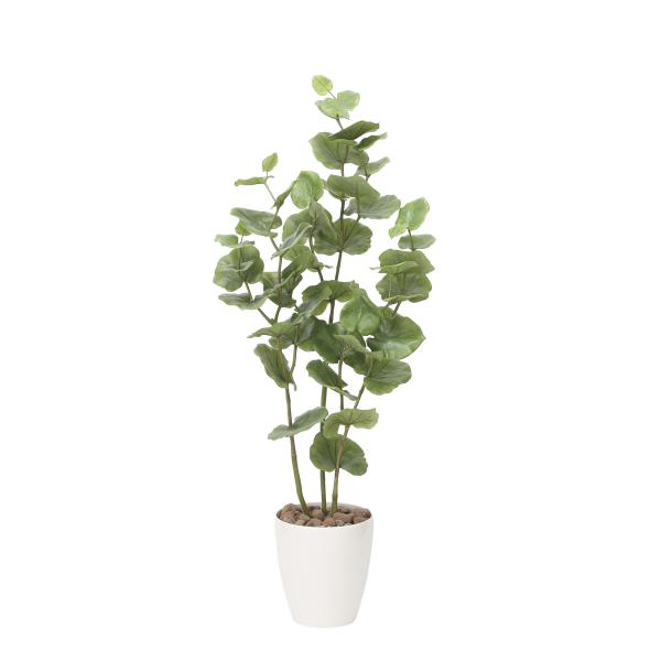 信頼の光触媒造花・人工観葉植物のブランド「光の楽園」消臭・抗菌効果のある、光触媒「V-CAT」を使用し、お部屋のインテリアや各種お祝いのギフト（プレゼント）として、新築祝い・開店祝い・開業祝い・開院祝い・引越し祝い・母の日・敬老の日・誕生日...