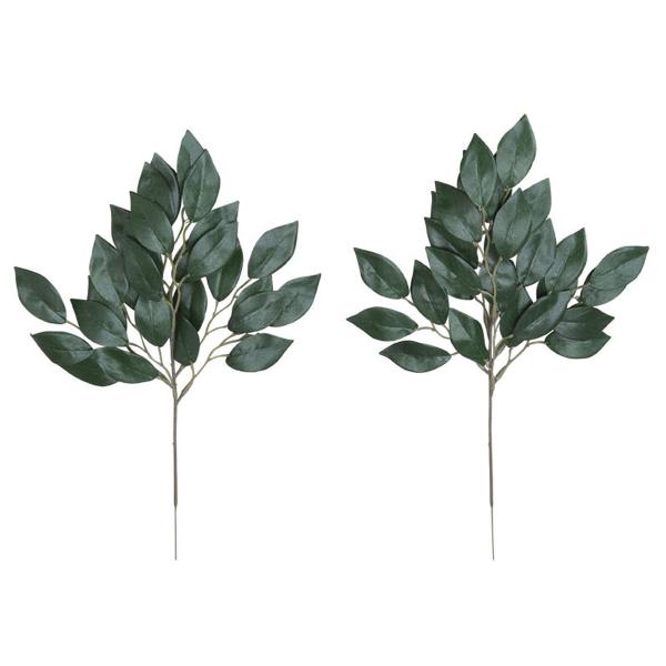 信頼の光触媒造花・人工観葉植物のブランド「光の楽園」消臭・抗菌効果のある、光触媒「V-CAT」を使用し、お部屋のインテリアや各種お祝いのギフト（プレゼント）として、新築祝い・開店祝い・開業祝い・開院祝い・引越し祝い・母の日・敬老の日・誕生日...